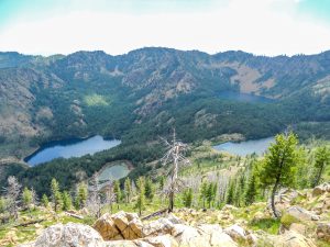 Rruga e Arbrit i shërben zhvillimit të mëtejshëm të turizmit malor ...