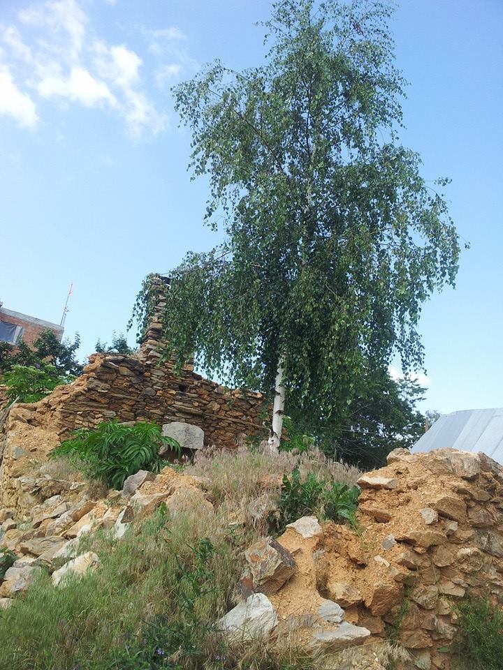 BOTA BUJQËSORE : Miti i vendlindjes dhe braktisja e dhimbshme