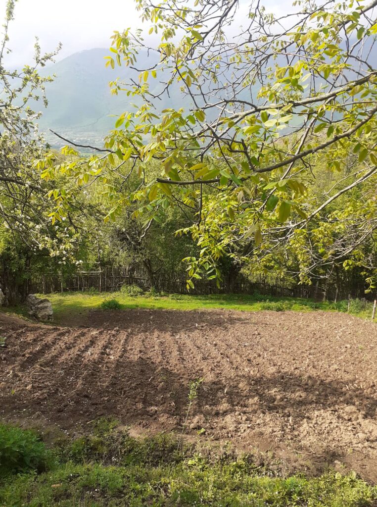 Dushaj – katundi i kullave, bujarisë dhe natyrës piktoreske – RRUGA E ...